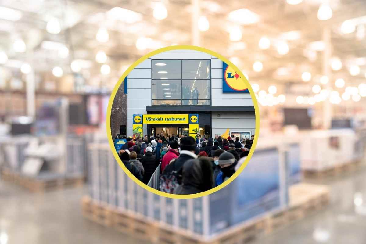 Lidl ti regala l'elettrodomestico indispensabile in cucina a un prezzo ...